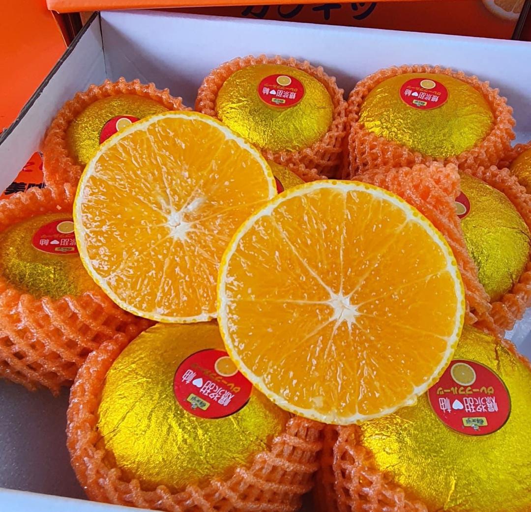 Products – Hello Daily - Premium Fruits & Hampers